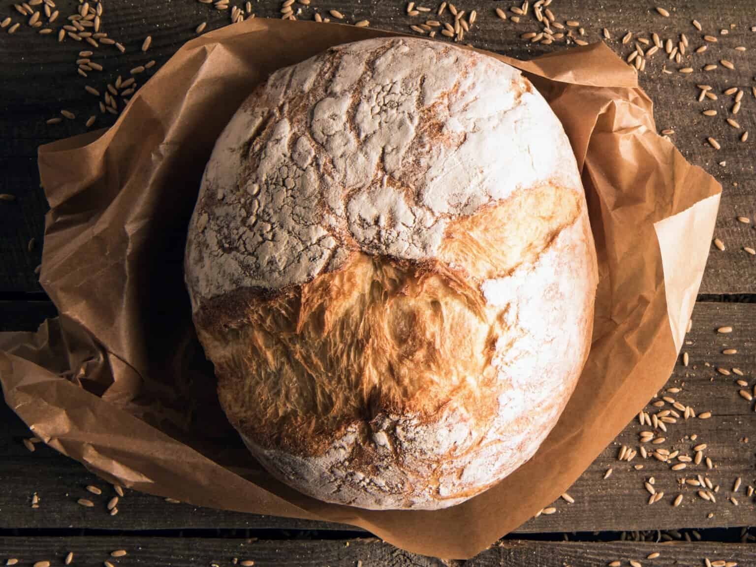 Bread in Italy – Types of Italian Breads & Where to Eat Them - Eating ...