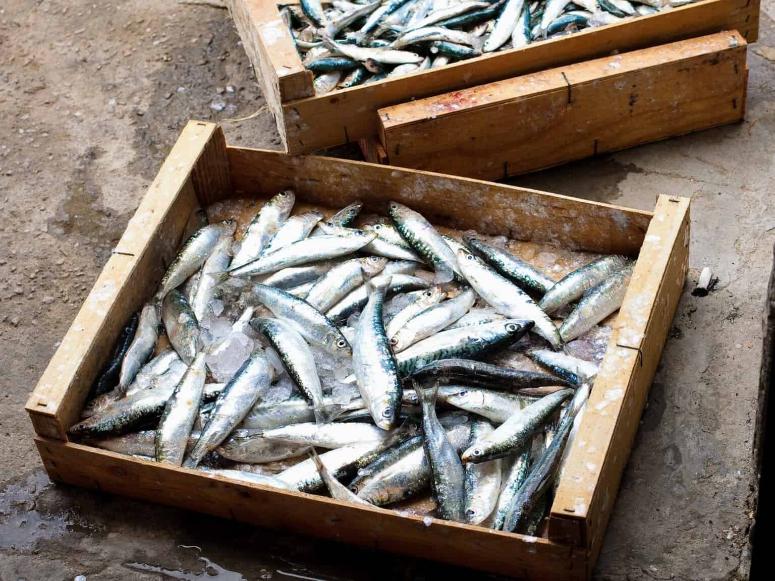 Traditional Calabrian Food – A Guide to Foods You Must Try During Your ...