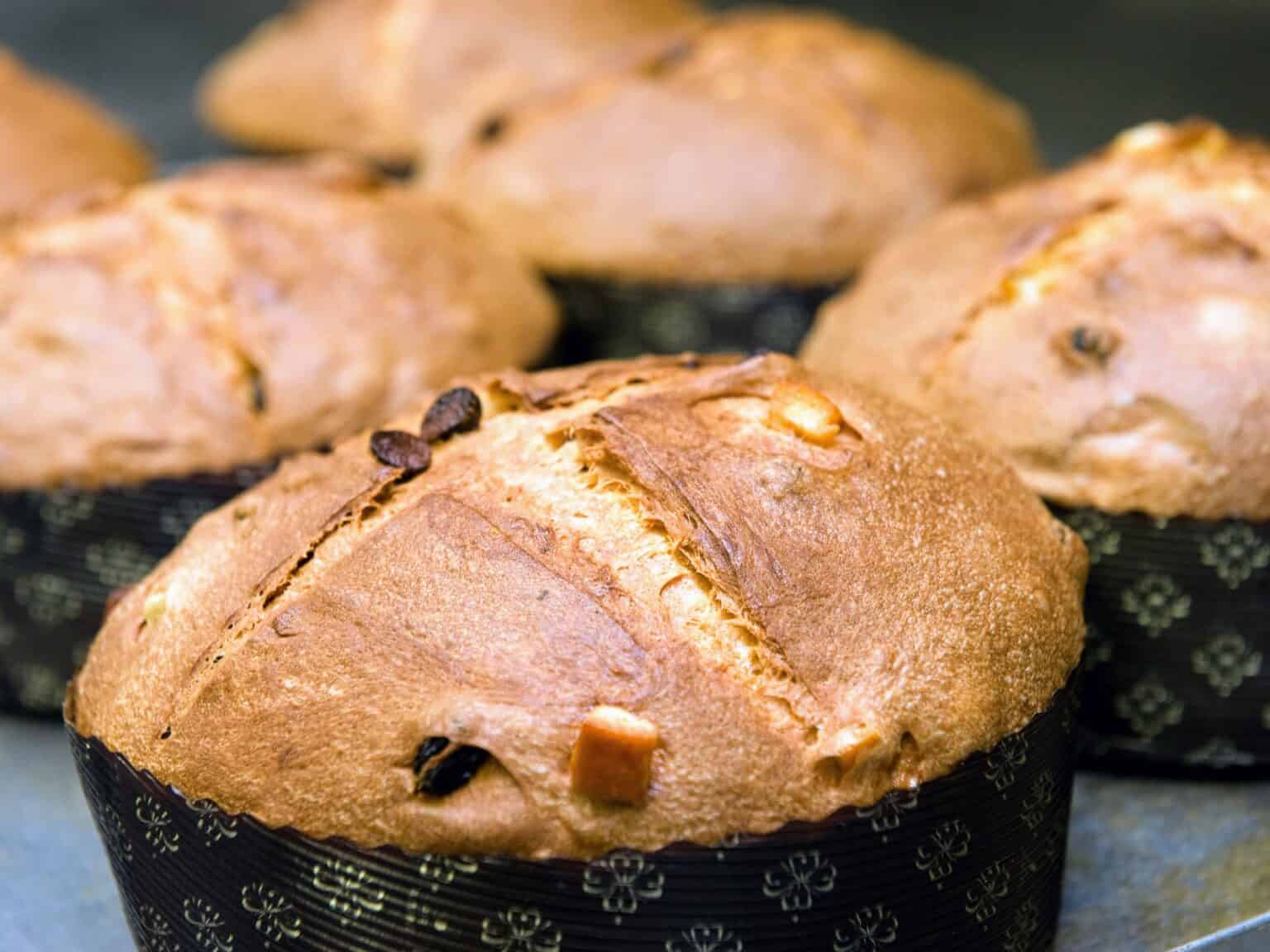 Bread in Italy – Types of Italian Breads & Where to Eat Them - Eating ...