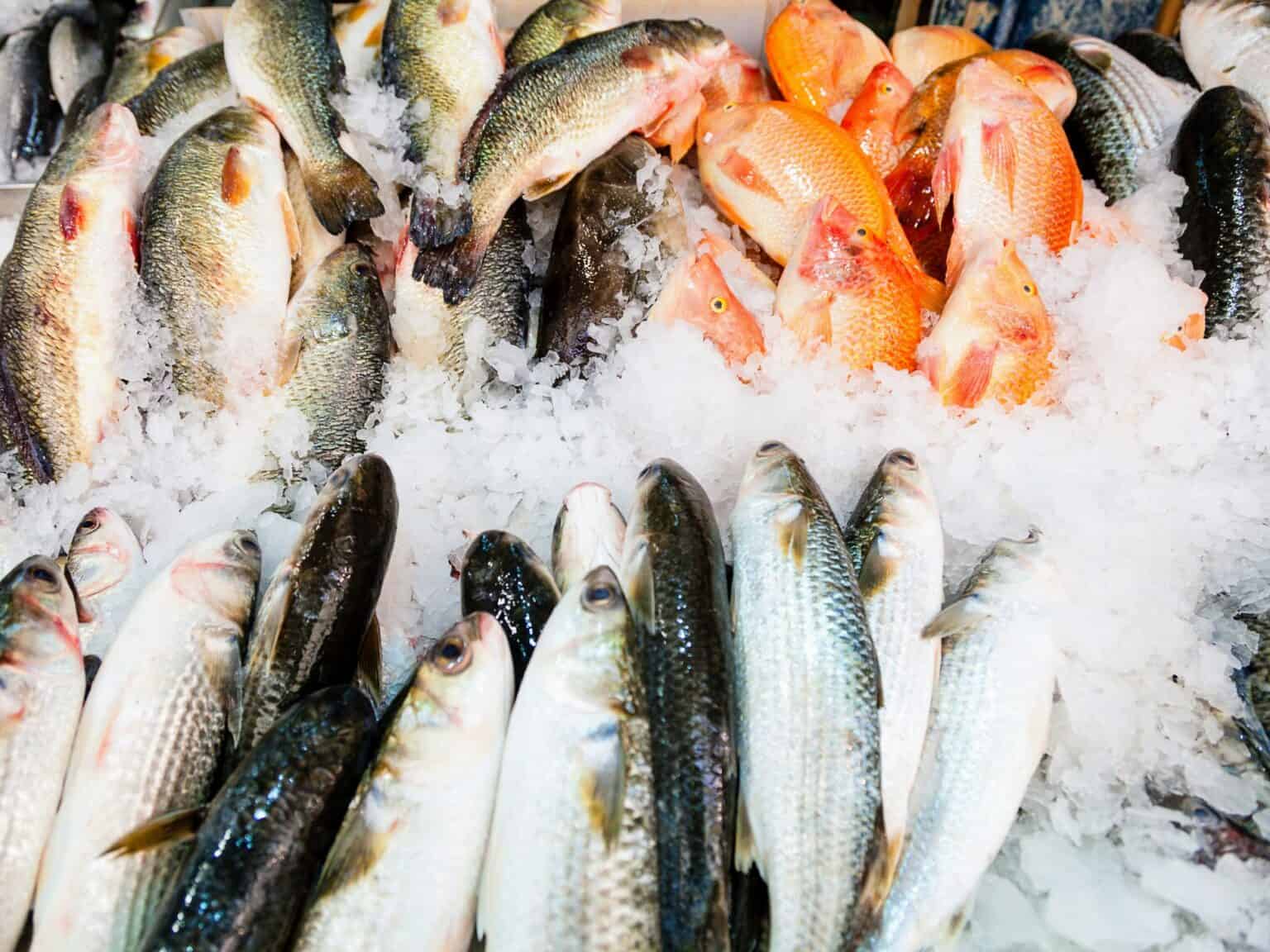 20 Italian Food Phrases (That We Actually Use in Italy) - Eating Around ...