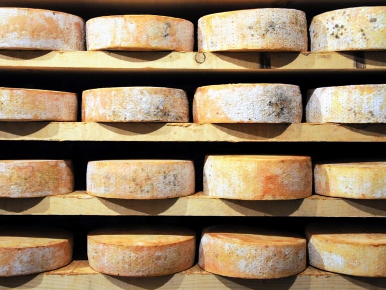 Italian Cheese - All You Need To Know Before Coming to Italy - Eating ...