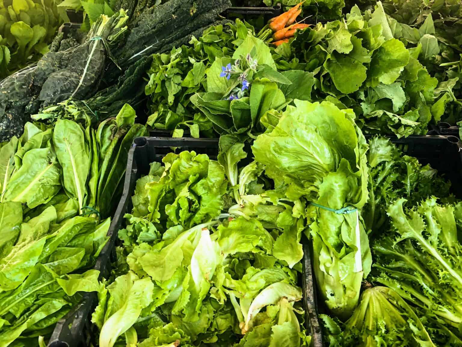 Cavolo Nero - What it Is and How My Italian Family Eats It - Eating ...