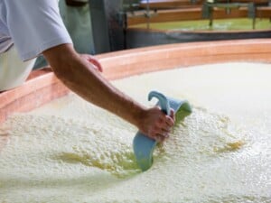 Mozzarella Types and Shapes + a Mozzarella Imposter - Eating Around Italy