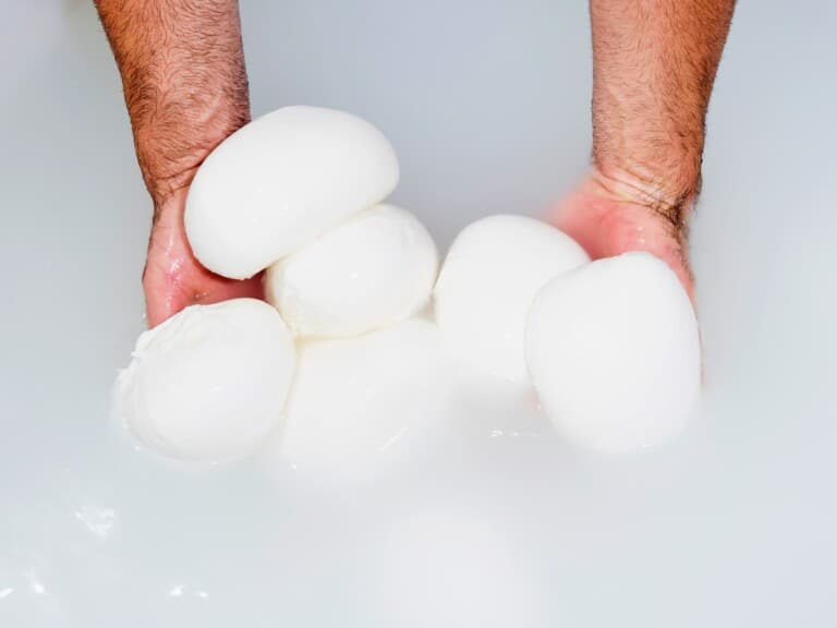 Mozzarella Types and Shapes + a Mozzarella Imposter - Eating Around Italy