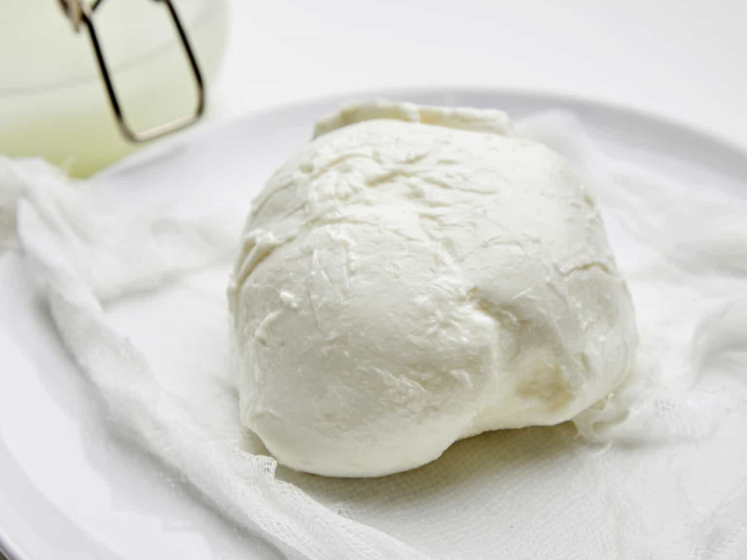 What is Mozzarella di Bufala (Buffalo Mozzarella)? – Solving the Great ...