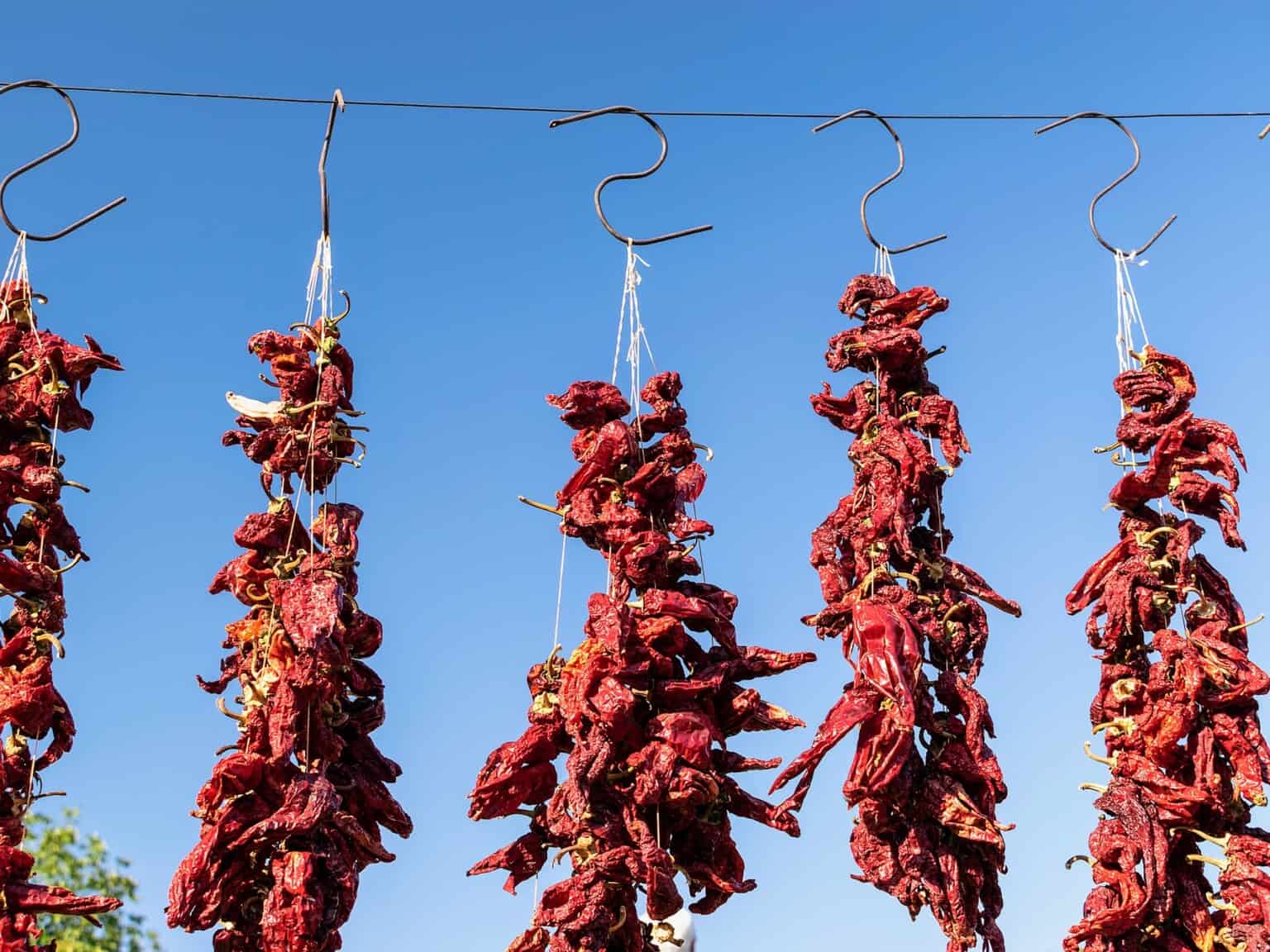 Traditional Food of Basilicata – Dishes You Must Try During Your Visit ...