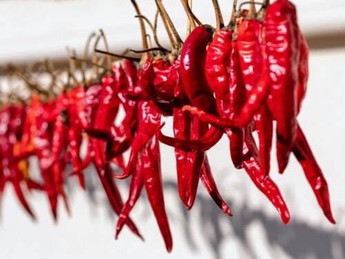 Traditional Food of Basilicata – Dishes You Must Try During Your Visit ...