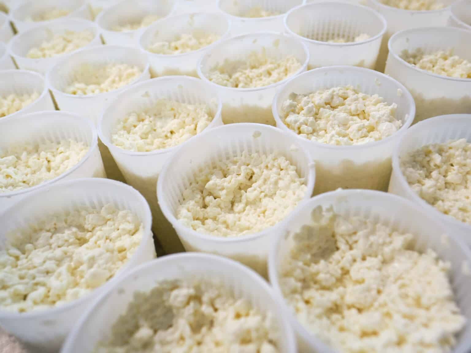 Italian Cheese - All You Need To Know Before Coming to Italy - Eating ...