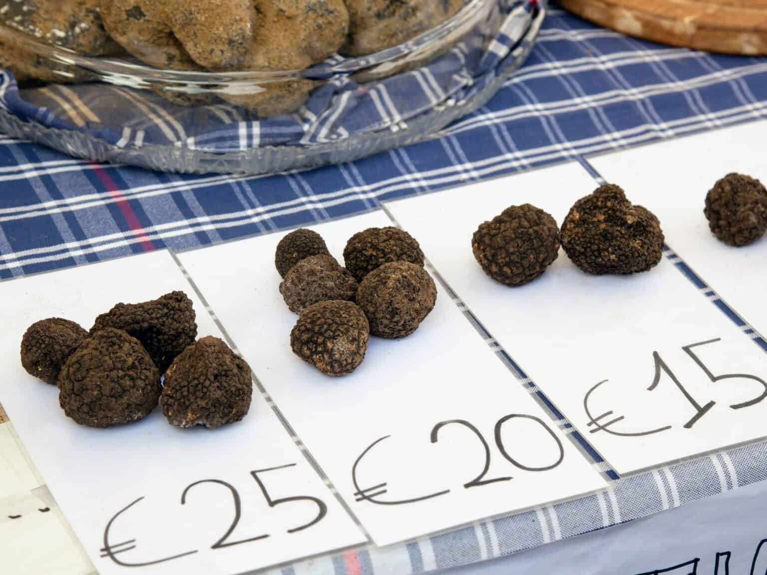 Truffles in Italy – All You Need to Know About Tartufi - Eating Around ...