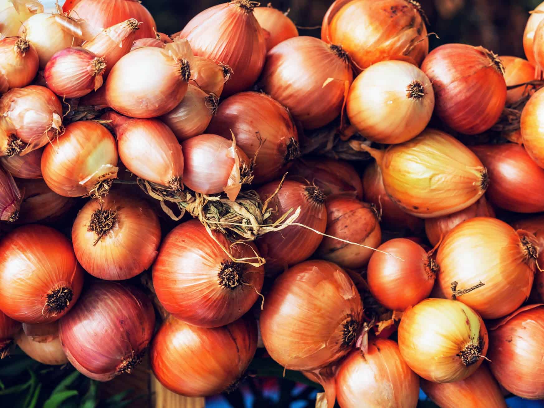 Italian Soffritto - Step-By-Step Instructions + How to Use It - Eating ...