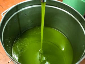 How To Store Olive Oil - Our Italian Family’s Secrets From Tuscany ...