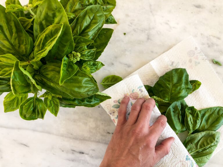 How To Store Fresh Basil + How to Chop it and Freeze it - Eating Around ...