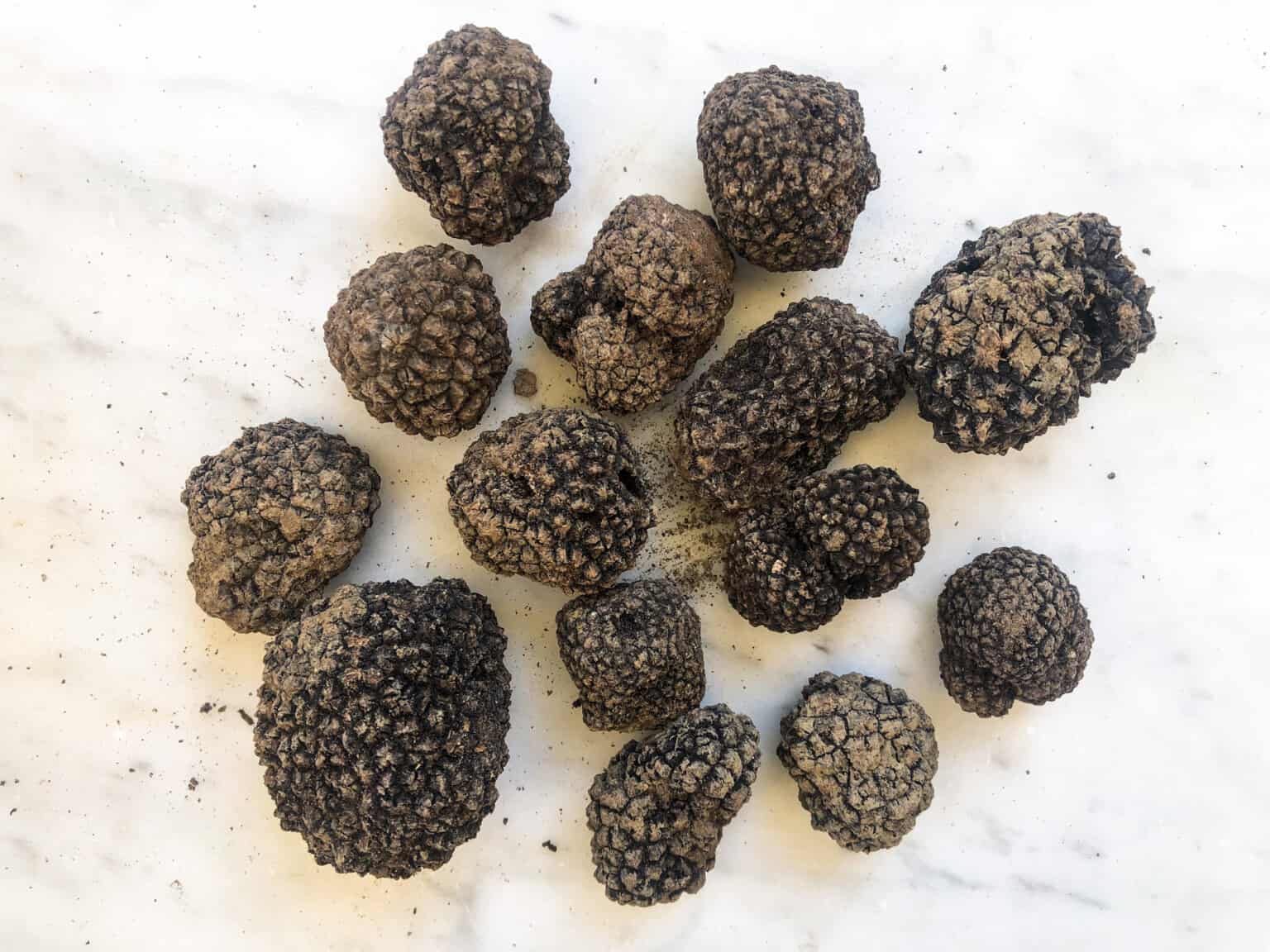 Truffles in Italy – All You Need to Know About Tartufi - Eating Around ...