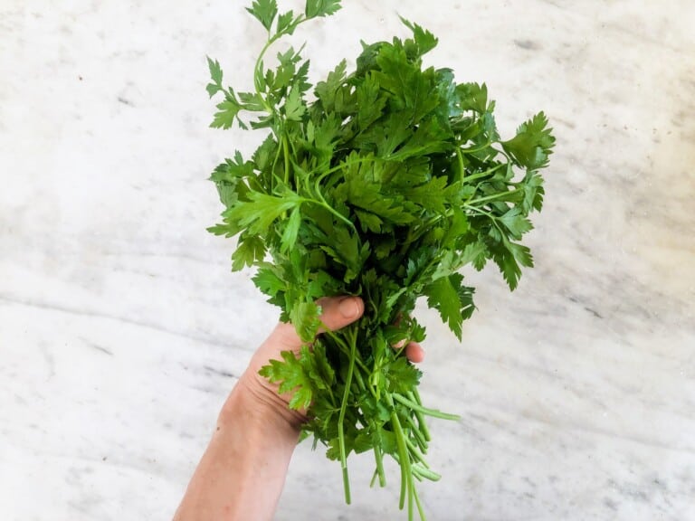 How To Freeze Parsley - 3 Ways To Store Fresh Parsley Year Round ...