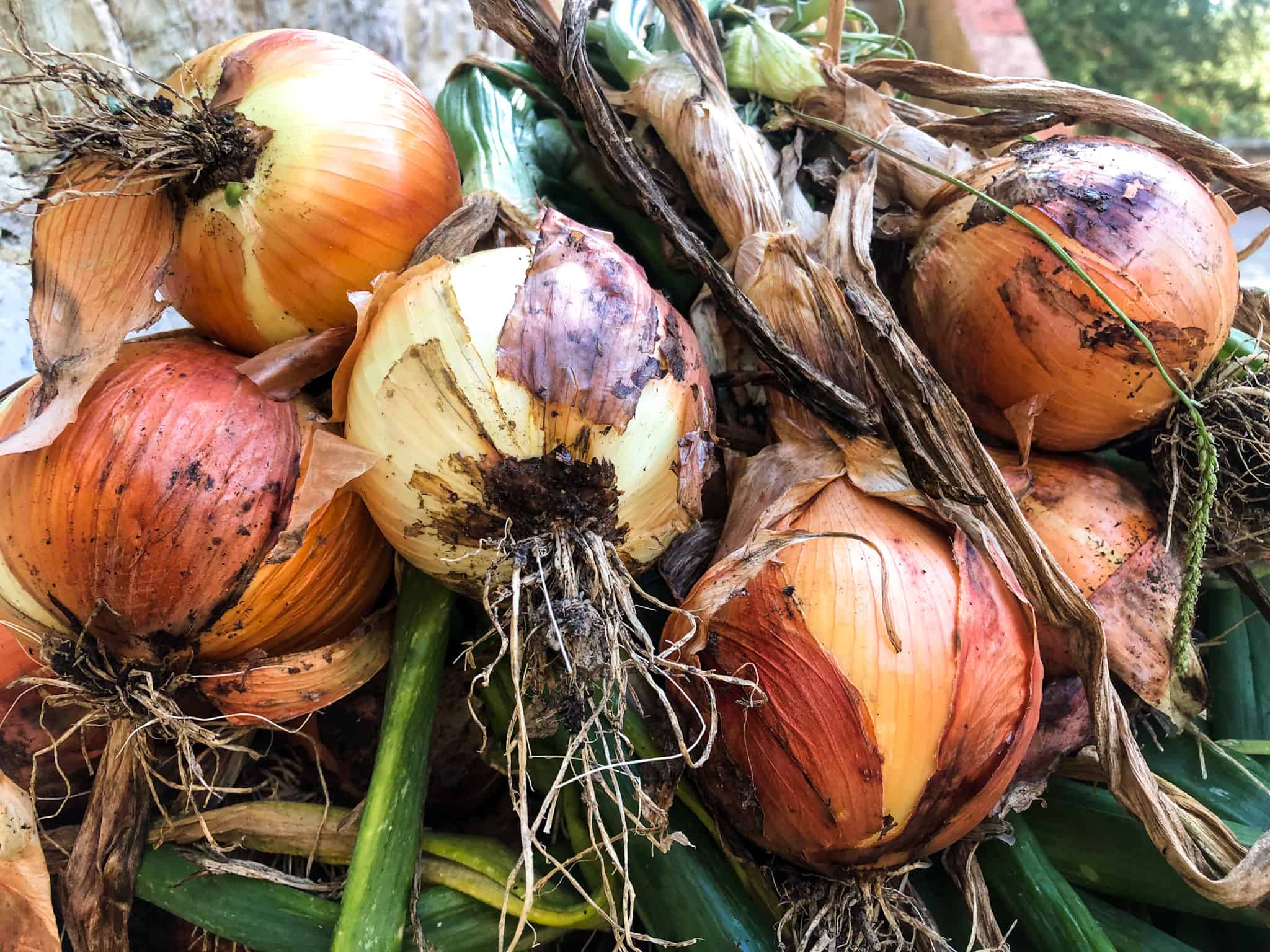 20 Essential Italian Ingredients To Stock In Your Kitchen Pantry ...