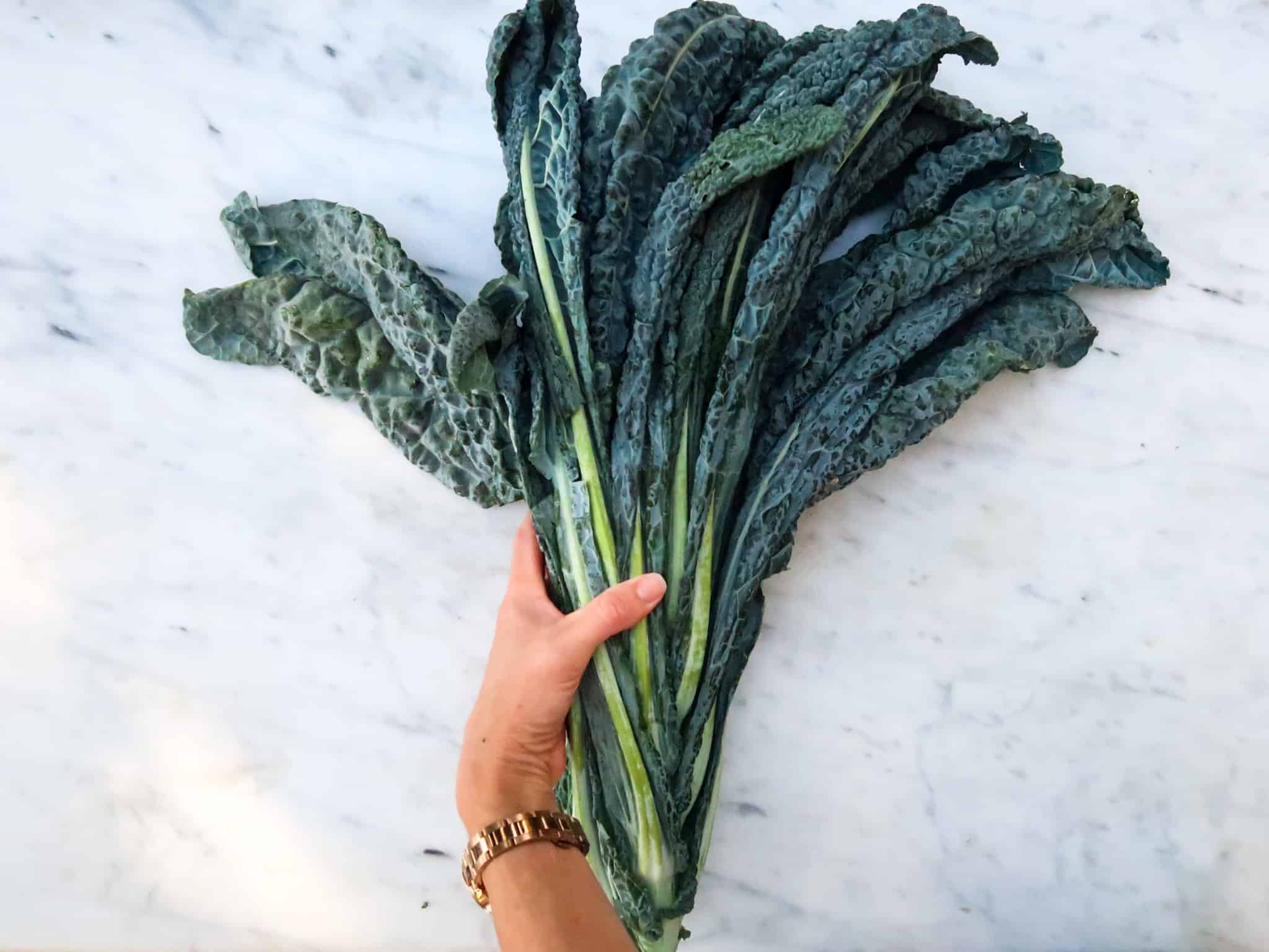 20 Minute Creamy Kale Pasta Recipe – A Green Pasta Your Family Will ...