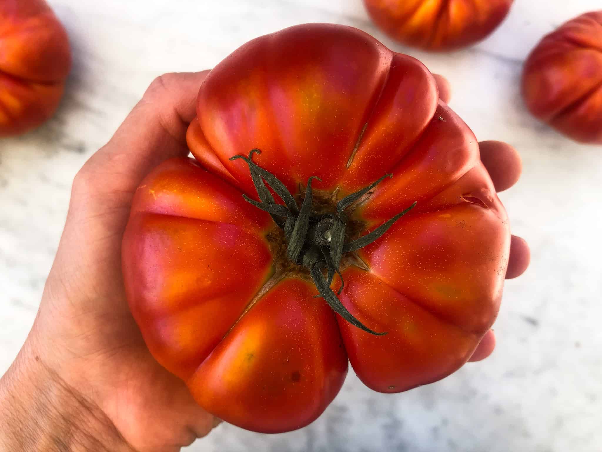Stuffed Tomatoes With Rice - My Tuscan Family’s Favorite Vegetarian ...