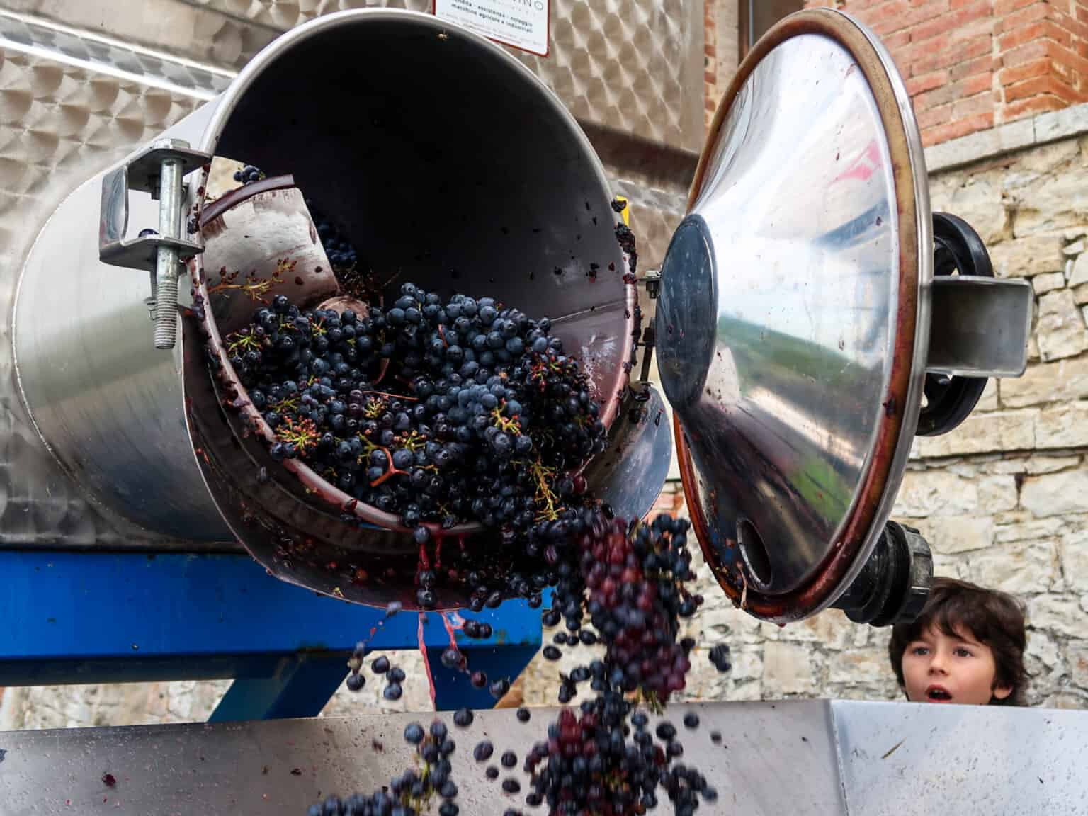 Montalcino, Italy - A Traveler's Guide To Visiting The Village Of ...