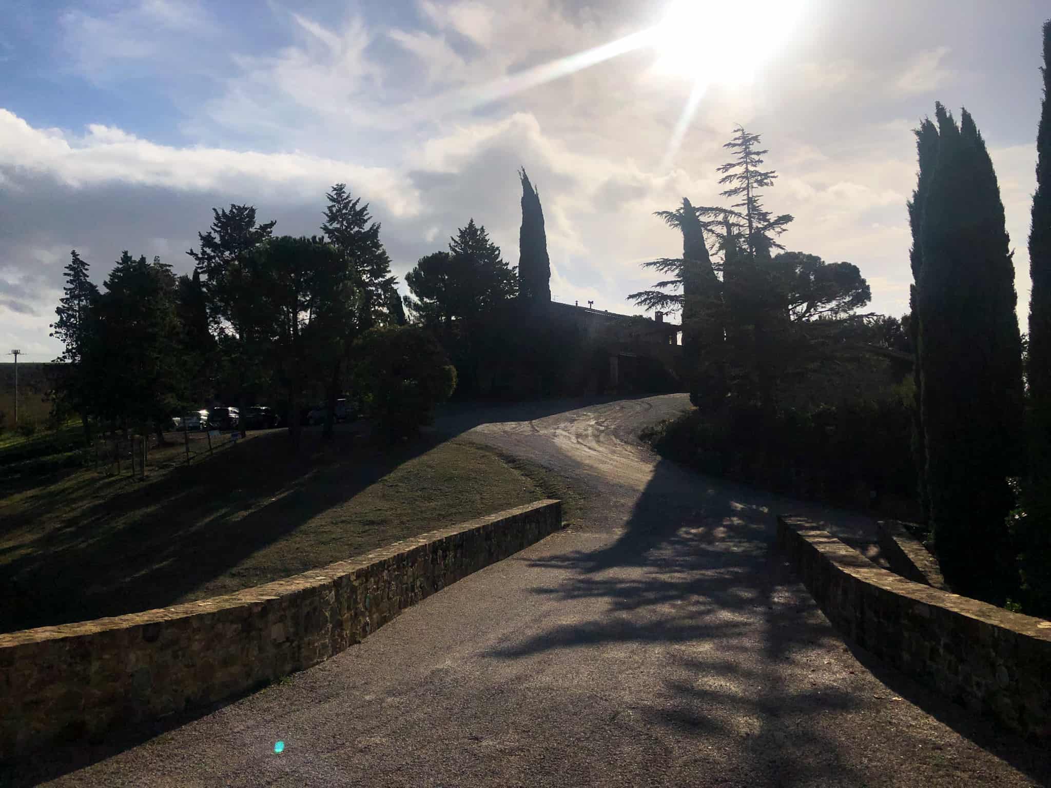 Siro Pacenti Winery (Montalcino) - My Experience Touring and Tasting ...