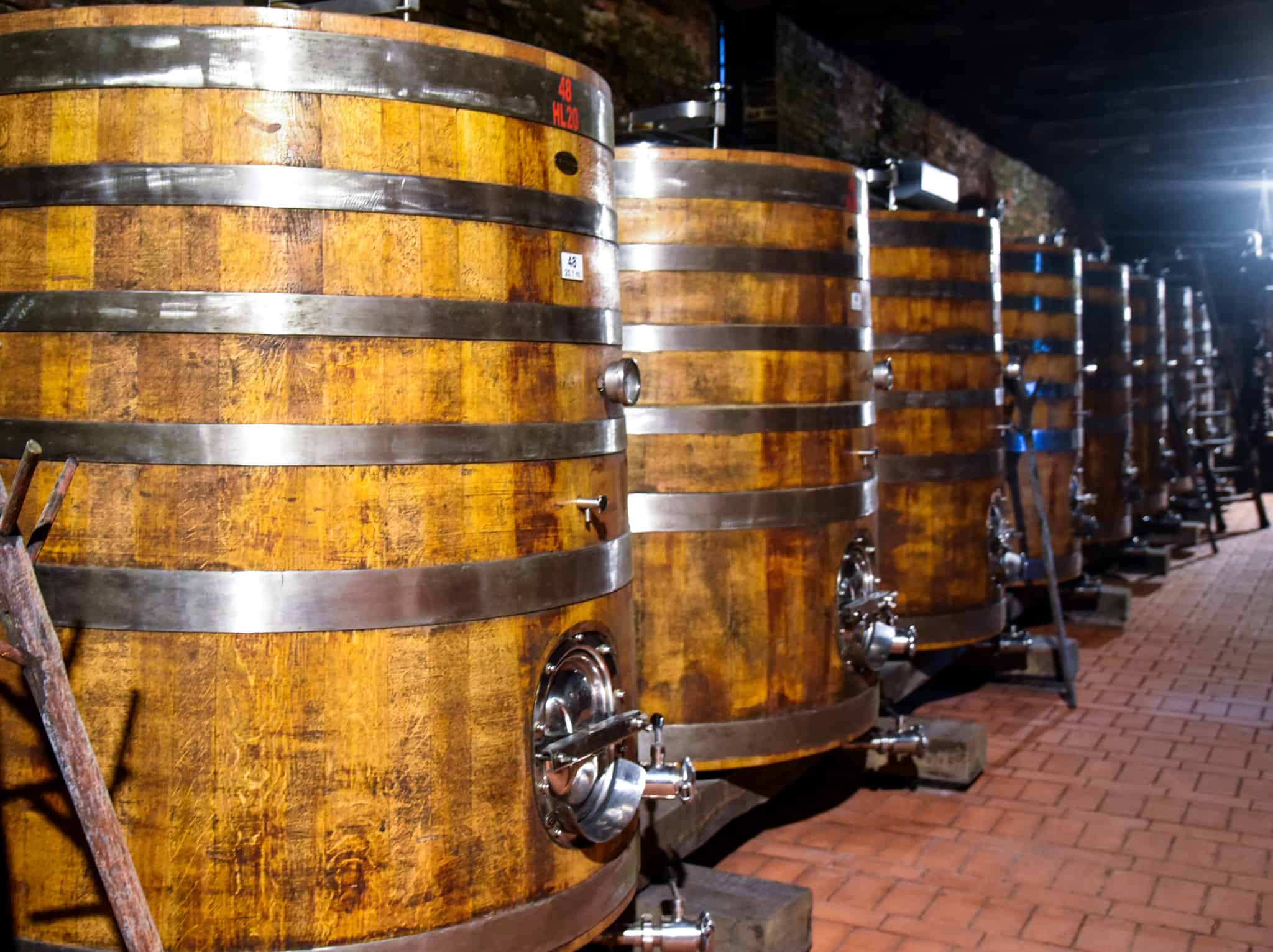 Avignonesi Winery - My Experience Touring and Tasting Wines In ...