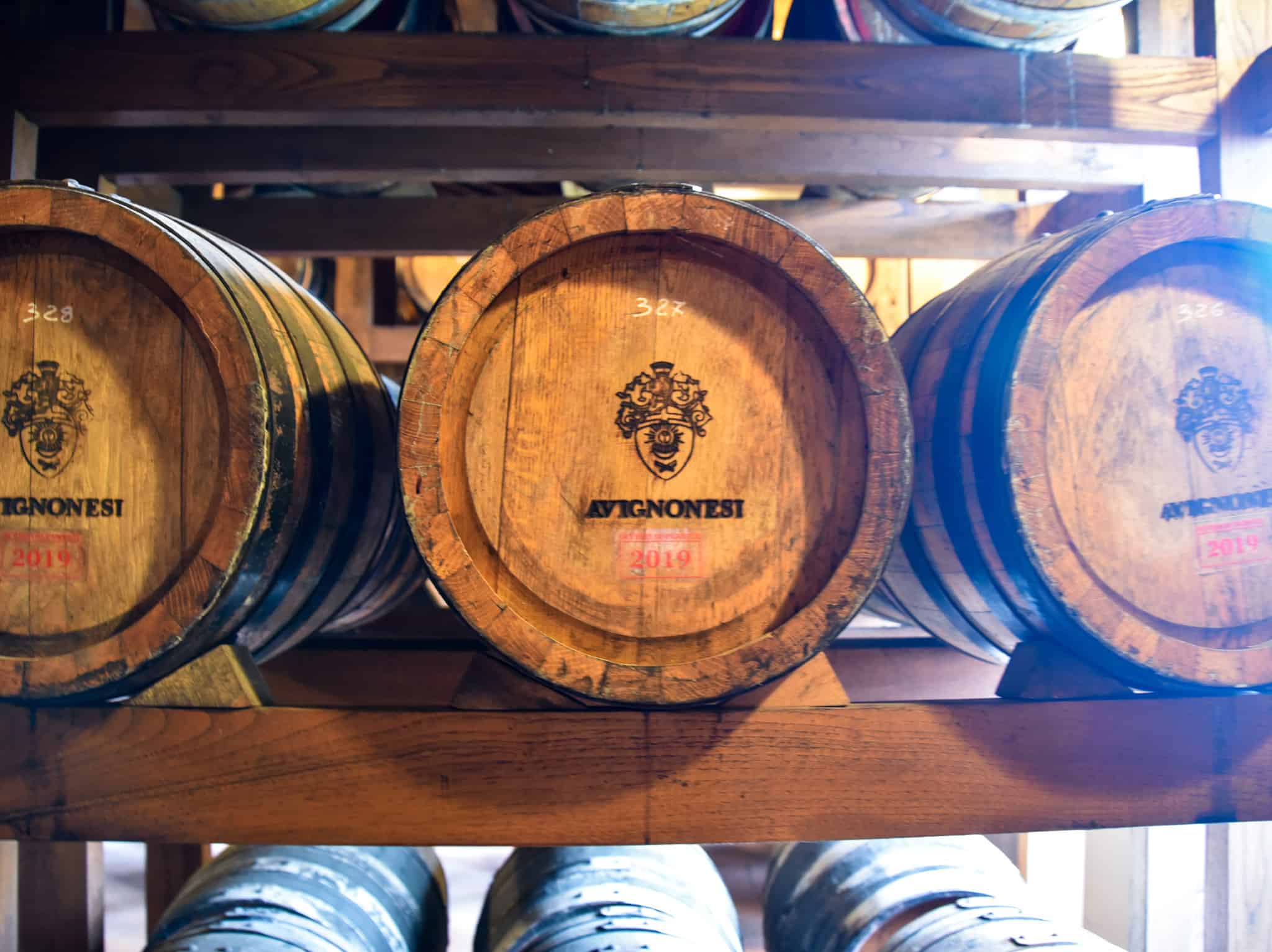 Avignonesi Winery - My Experience Touring and Tasting Wines In ...