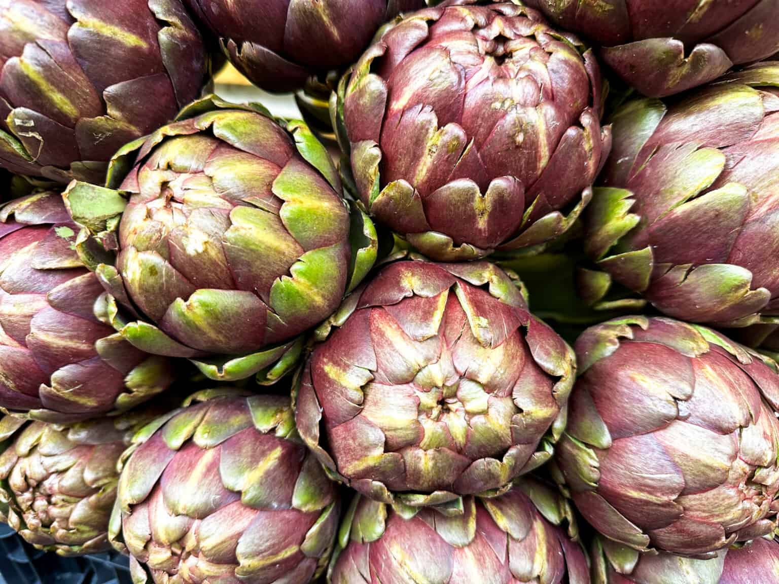 Where to Eat Maritozzi in Rome - 5 Roman Bakeries with the Best ...