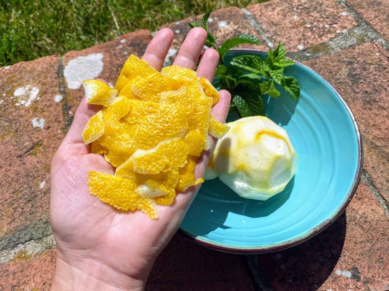 A Quick Look at the Cedro + 9 Ways We Use it in Italy - Eating Around Italy