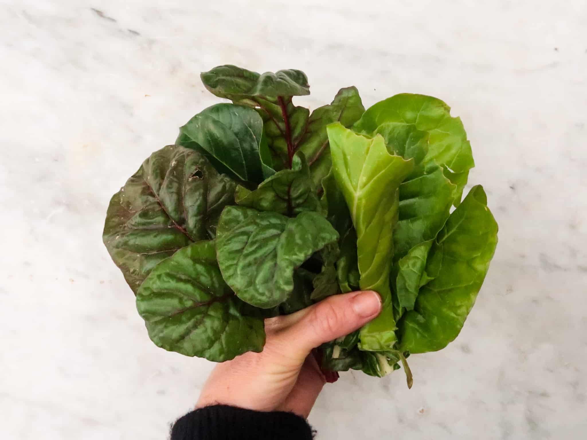 Italian Greens And Beans Recipe - Budget-Friendly, Vegan, & Straight ...