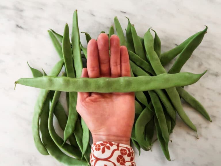 What Are Italian Green Beans And How To Make Them (Our Nonna’s Recipe ...