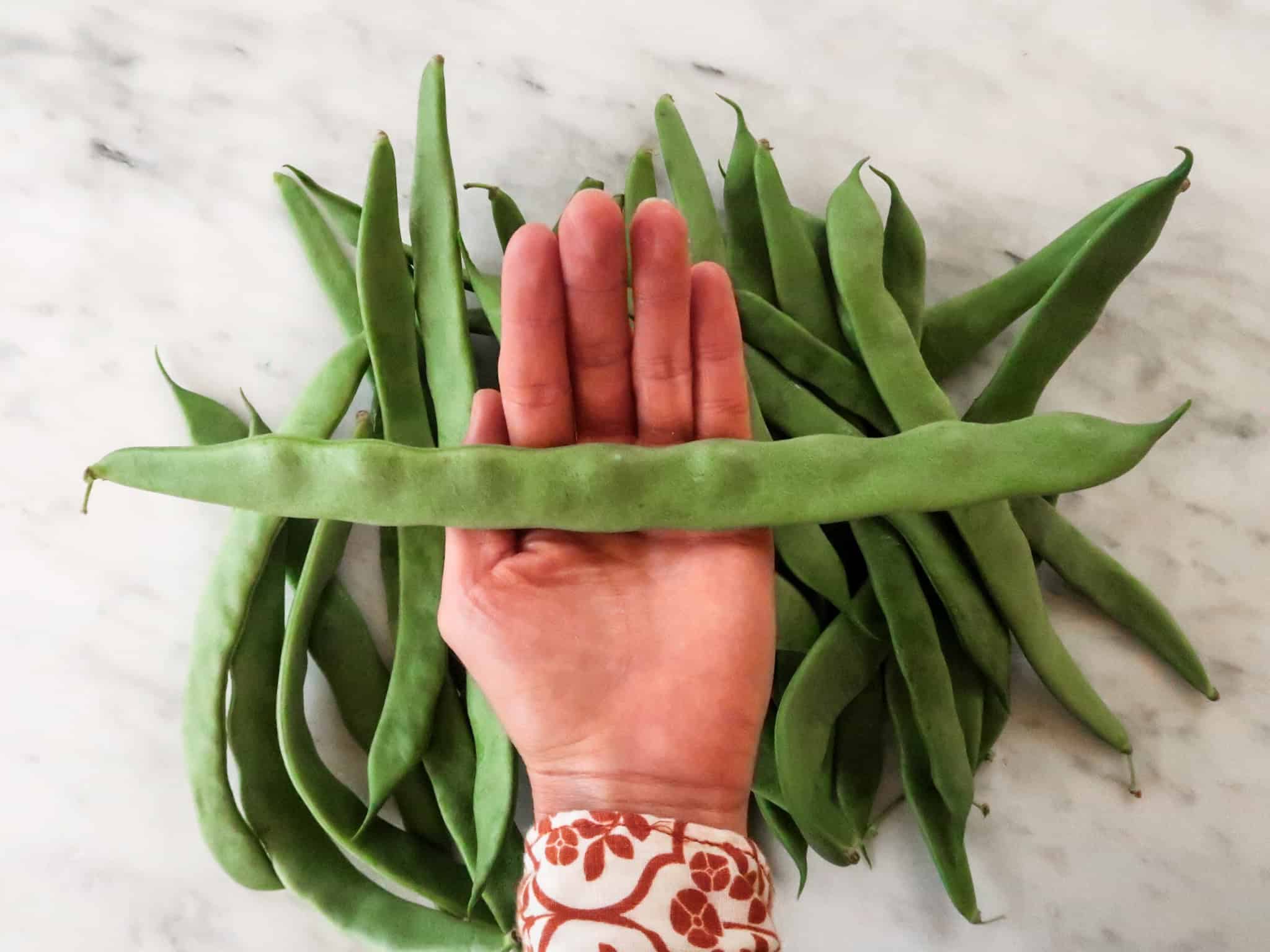 What Are Italian Green Beans And How To Make Them (Our Nonna’s Recipe ...