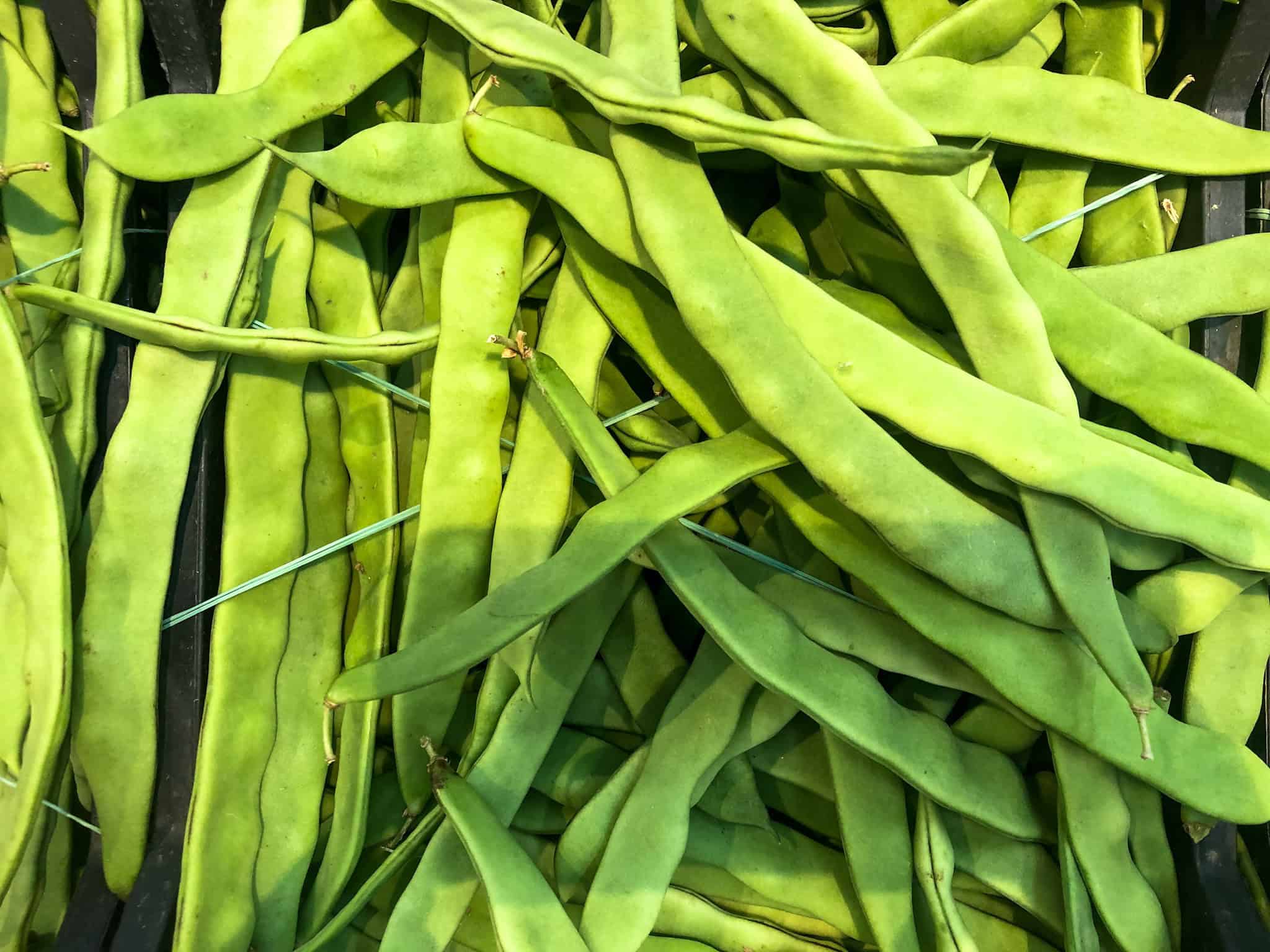 What Are Italian Green Beans And How To Make Them (Our Nonna’s Recipe ...