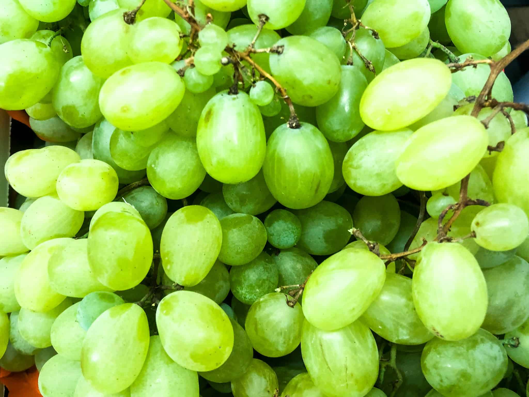 Seasonal Produce To Try In October In Italy - Italy’s First Fall ...