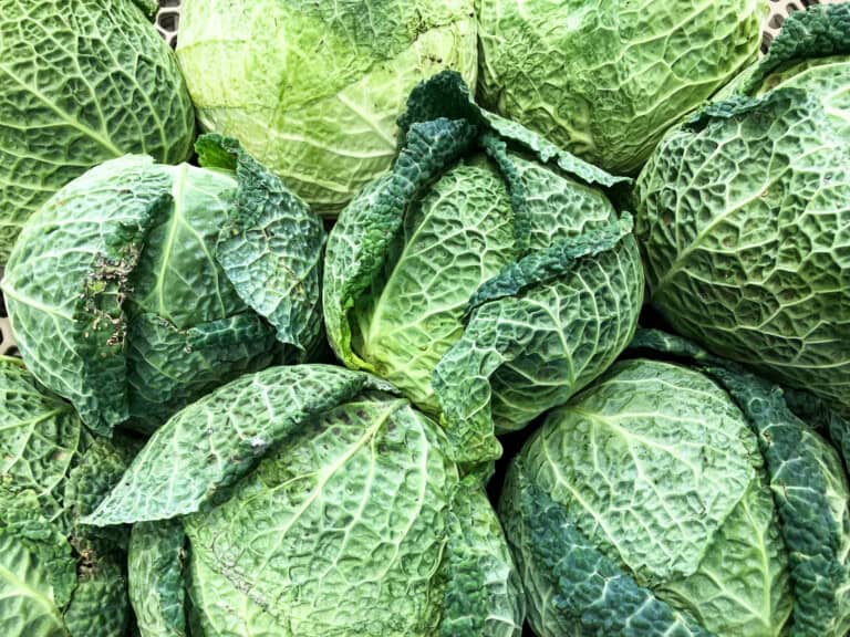 Spring Produce To Try In March In Italy - Eating Around Italy